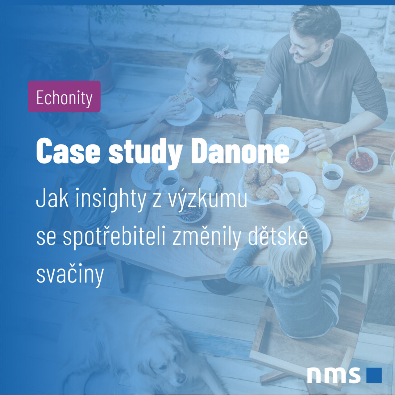 Případová studie Echonity: Danone | NMS Market Research